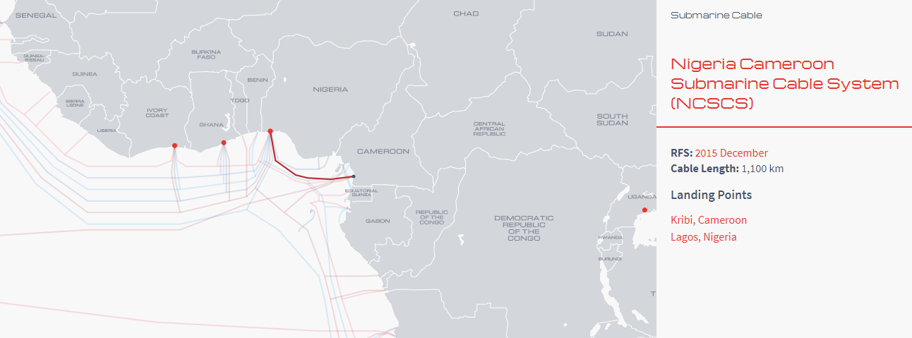 中国联通国际海底电缆 | 柴郡猫