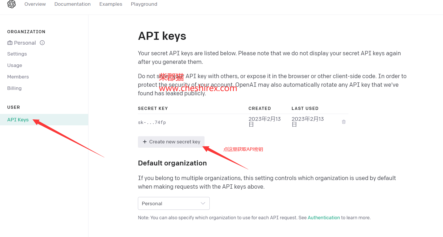使用ChatGPT（OpenAi）的API自建ChatGPT对话网站（可对话生成图像） | 柴郡猫